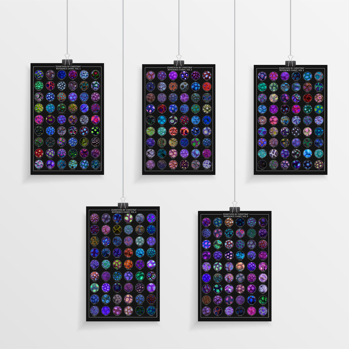270 Unique Zoanthids Identification Poster for Reef Aquariums Complete ...