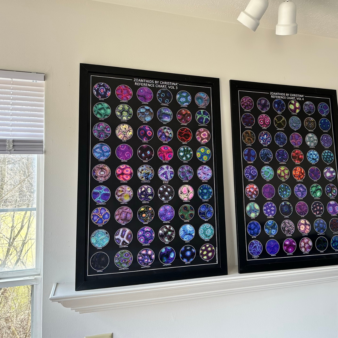 270 Unique Zoanthids Identification Poster for Reef Aquariums Complete ...